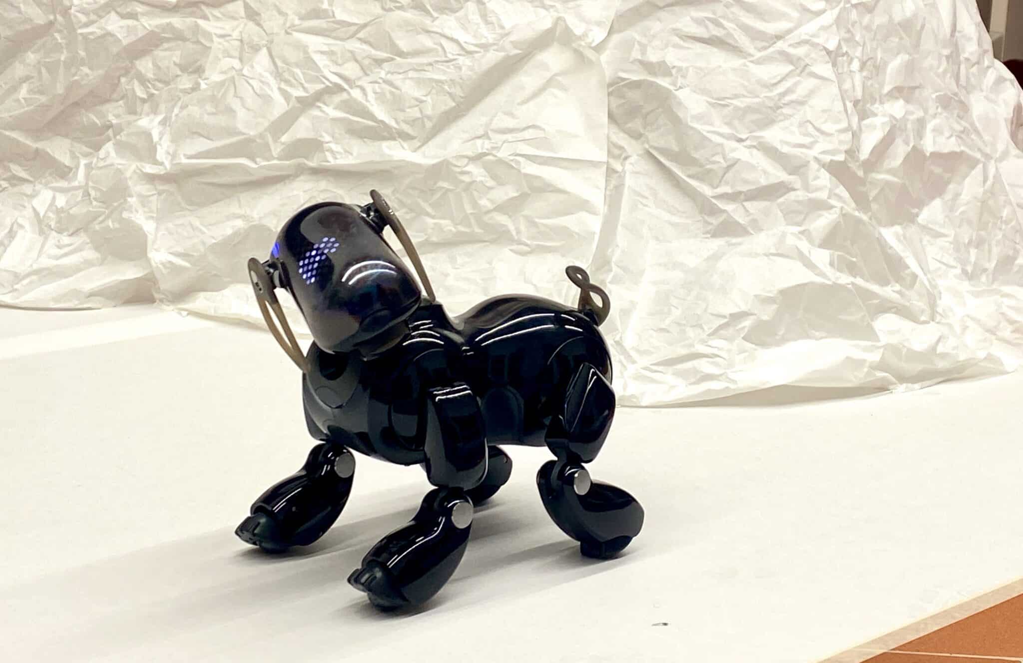 Robotolo, il cane robot che ci fa riflettere sull’amicizia tra uomo e ...