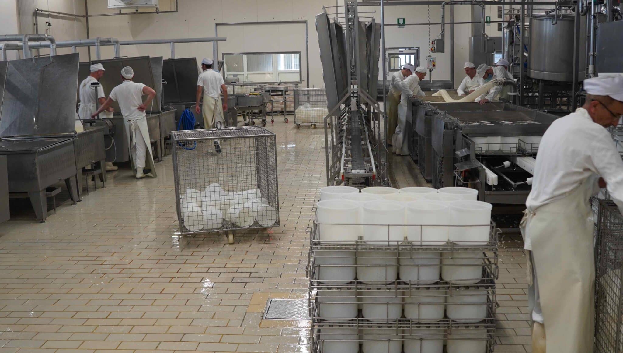 Storie di moderni contadini: la produzione del latte si fa tecnologica ...